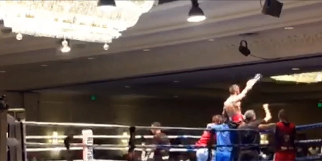 Fabio Costa Knocks Out Nikki Bascome, Nov 11, 2017 - Bernews.TV