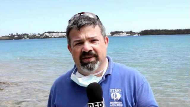 Dr Ian Walker After Necropsy On Beached Whale In Bermuda, May 31 2012 ...