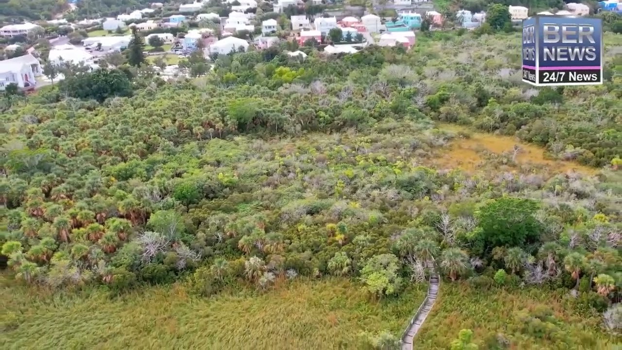 Aerial View | Paget Marsh In Bermuda, 2022 - Bernews.TV