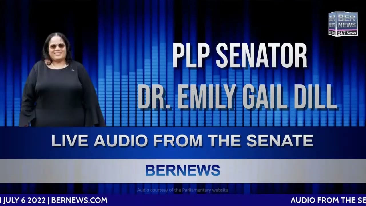 Audio | Rev Emily Gail Dill In Senate MTA, July 6 2022 - Bernews.TV