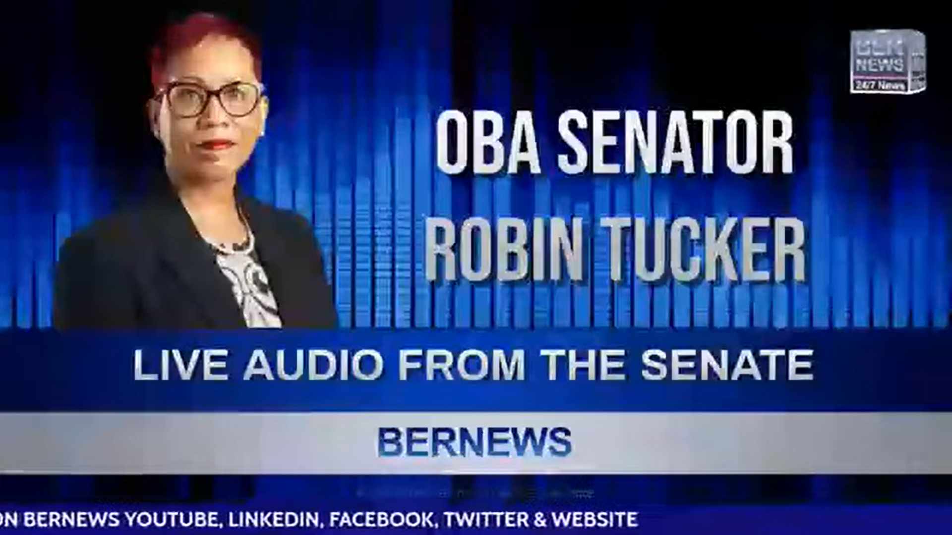 Audio | Senator Robin Tucker On Feral Chicken Problem, May 17 2023 ...