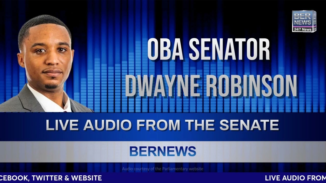 Audio | OBA Senator Dwayne Robinson On Emigration, Feb 14 2024 - Bernews.TV