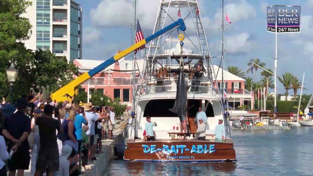 636lb Blue Marlin Caught On Debaitable, July 2024 - Bernews.TV
